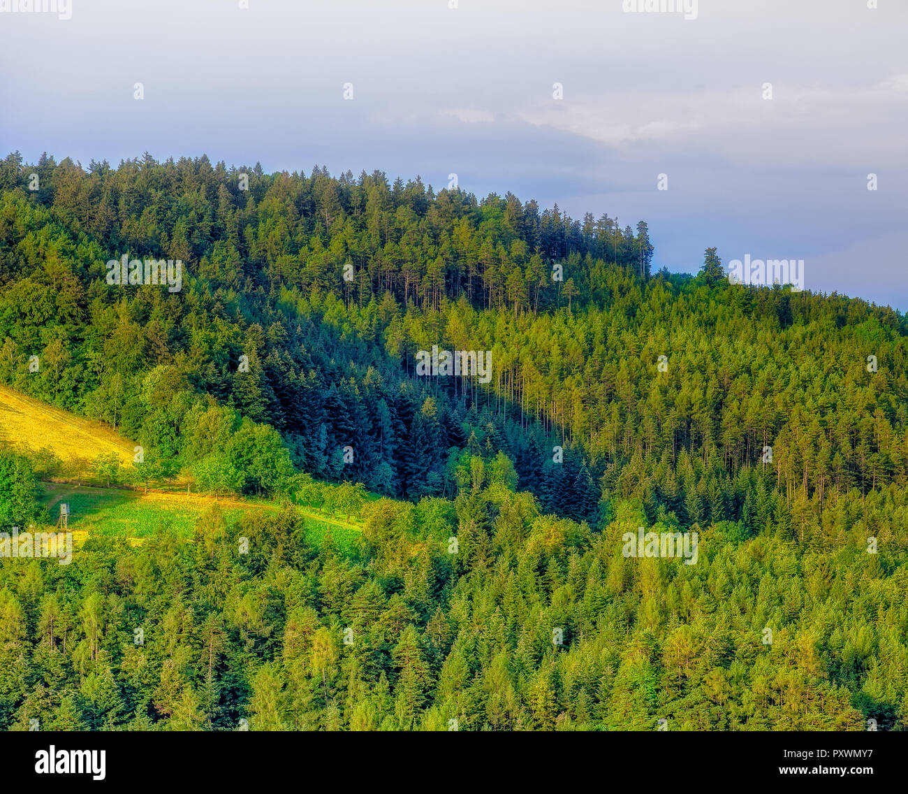 Vibrant realism hi-res stock photography and images - Alamy