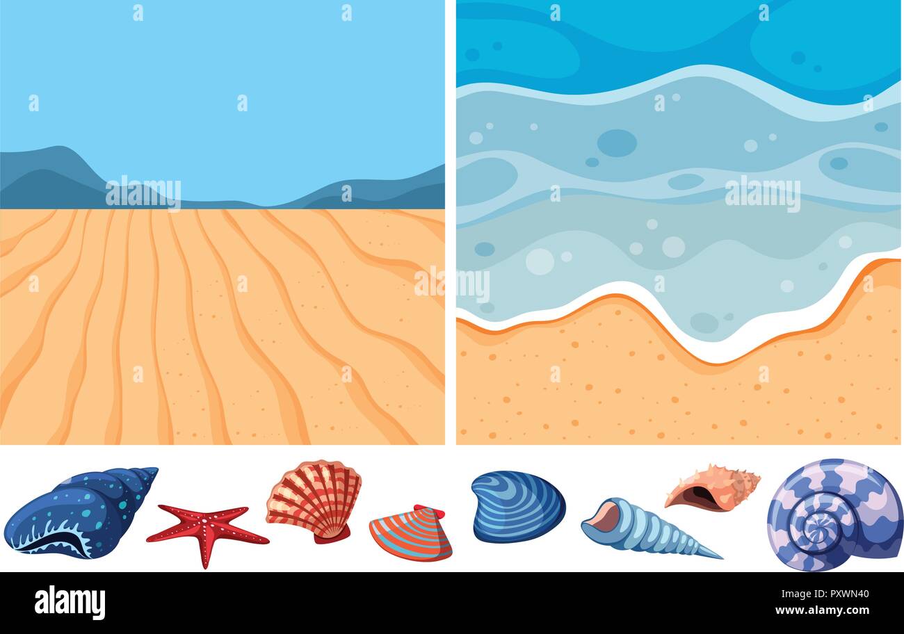 Two ocean scenes with many seashells illustration Stock Vector Image ...