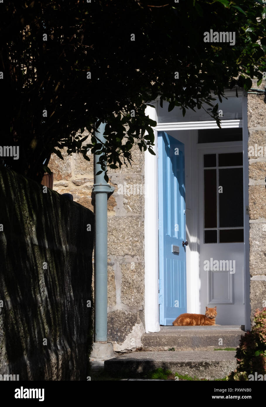 Period style wooden doorway with steep steps off a narrow alleyway in ...
