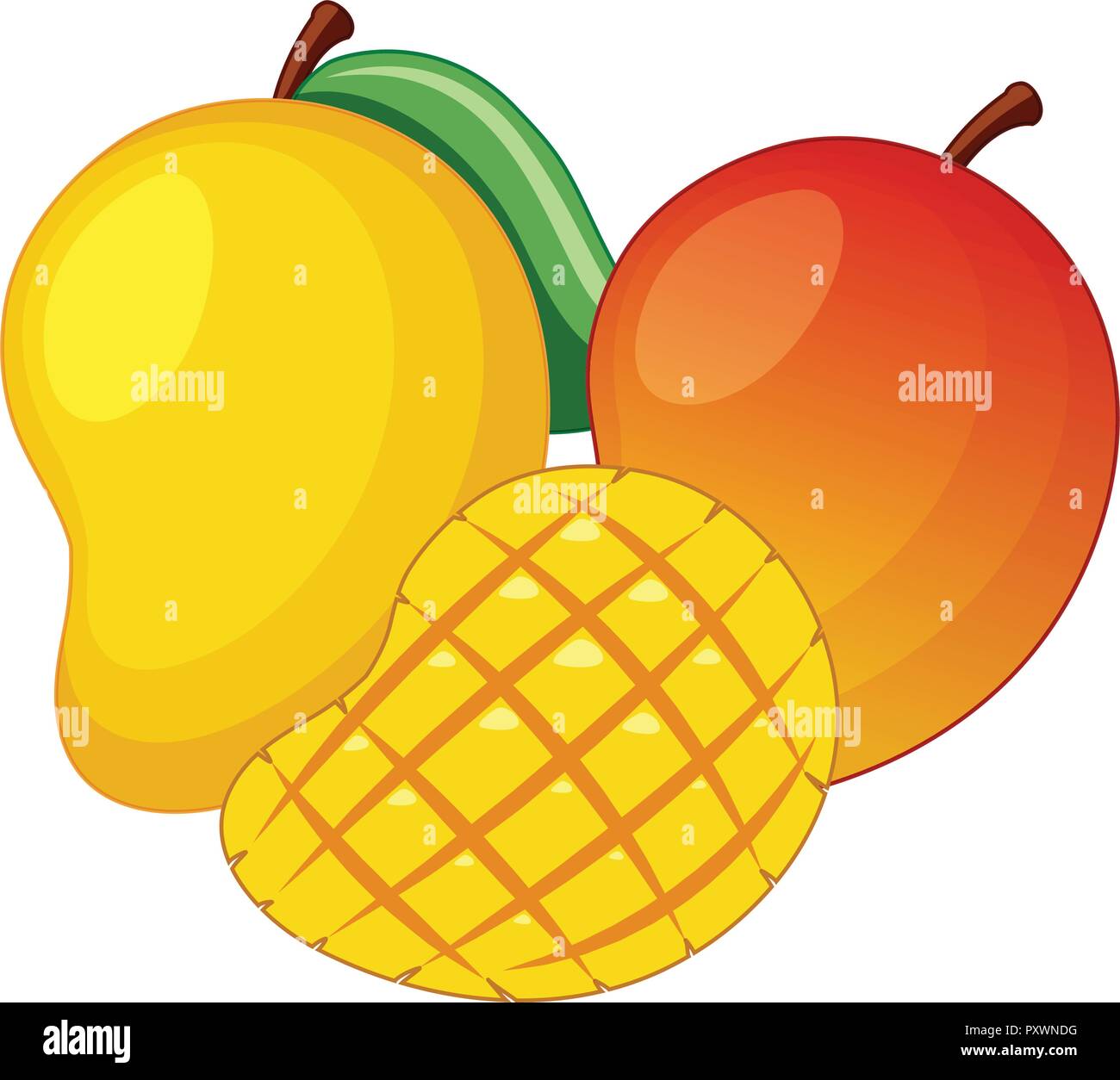 Mangoes on white background illustration Stock Vector Image & Art - Alamy