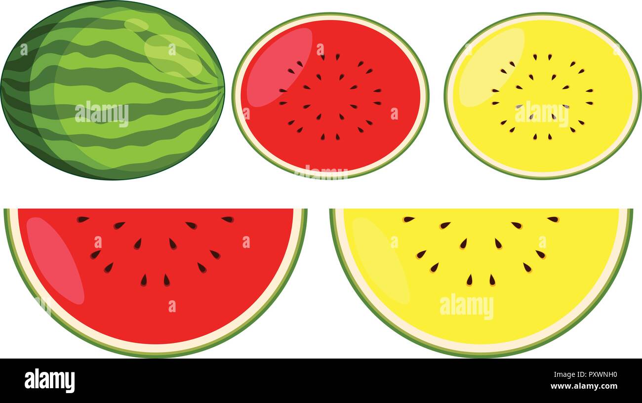 Red and yellow watermelons illustration Stock Vector Image & Art - Alamy