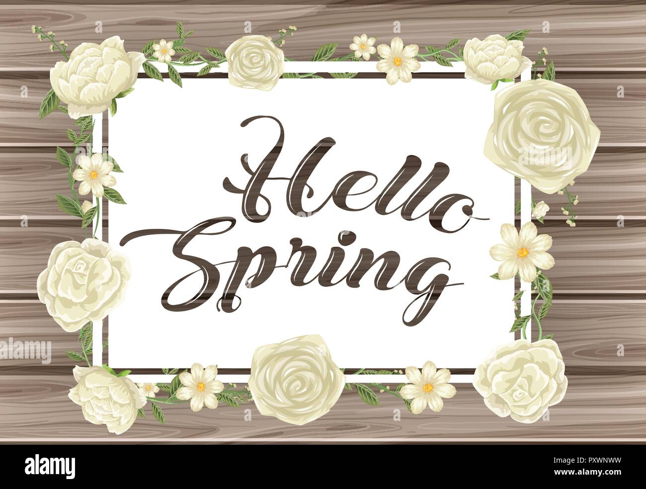 Hello Spring sign with white roses illustration Stock Vector Image ...