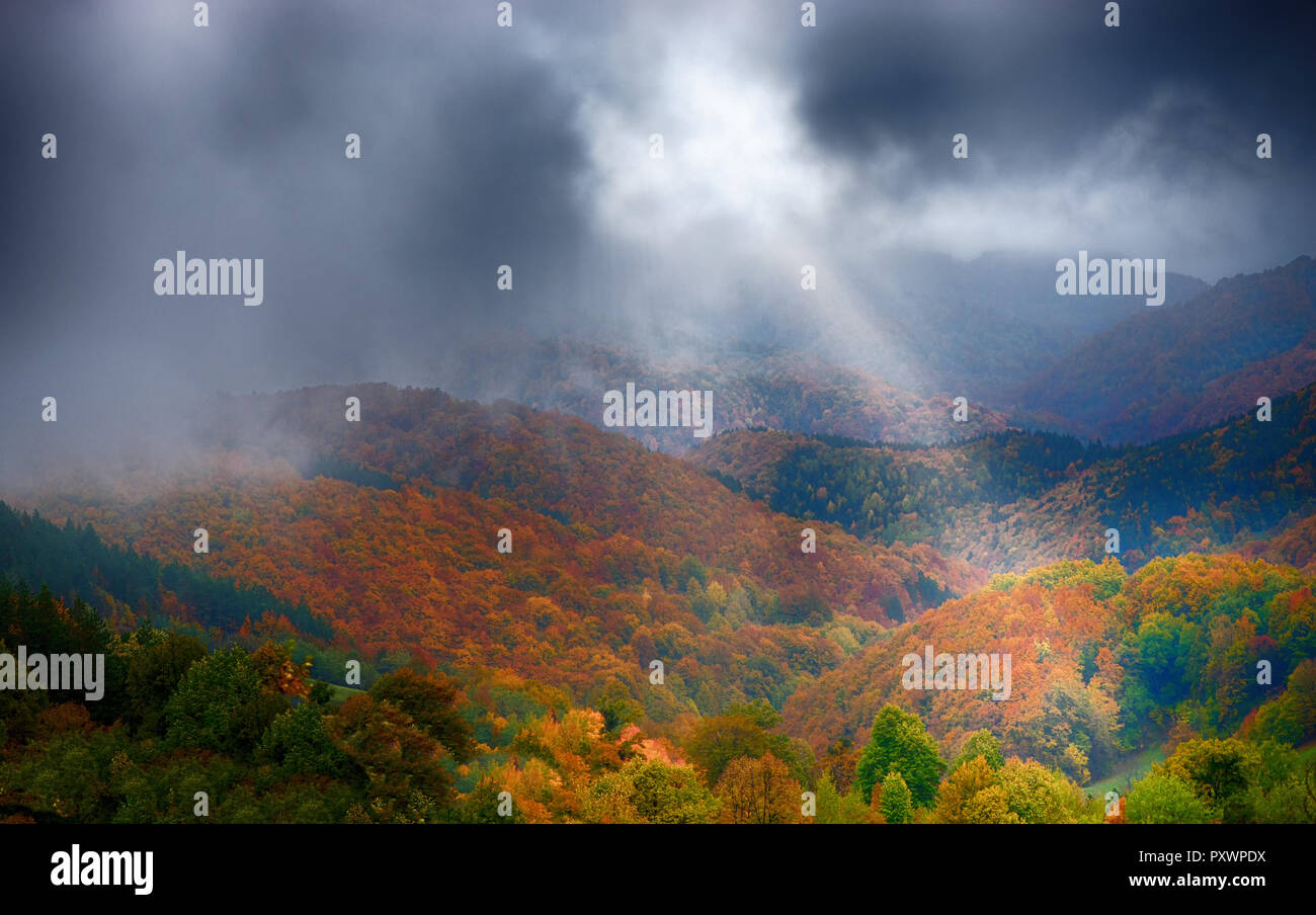 Cloudy day with red yellow autumn trees hi-res stock photography and ...