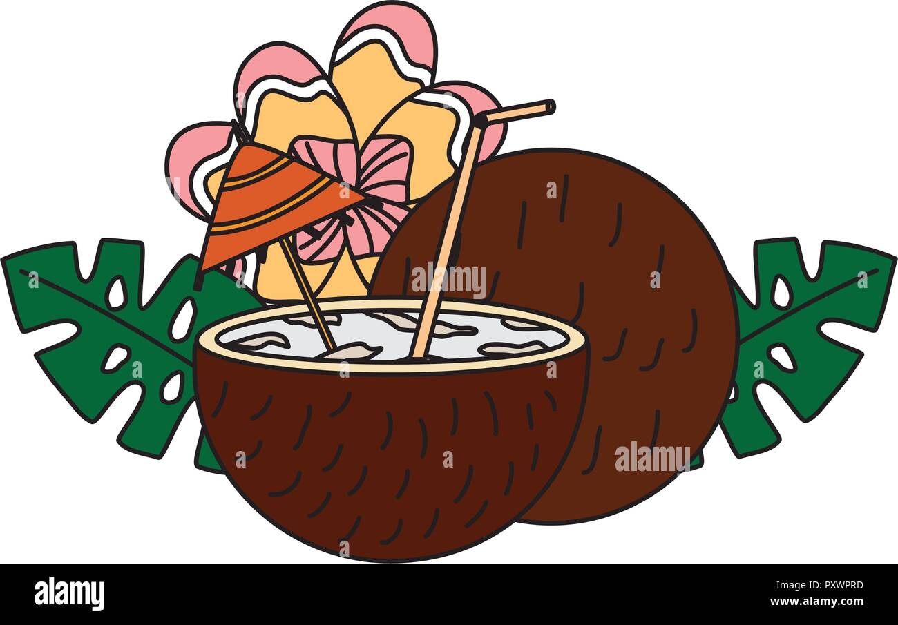 coconut cocktail flower leaves tropical summer vector illustration ...