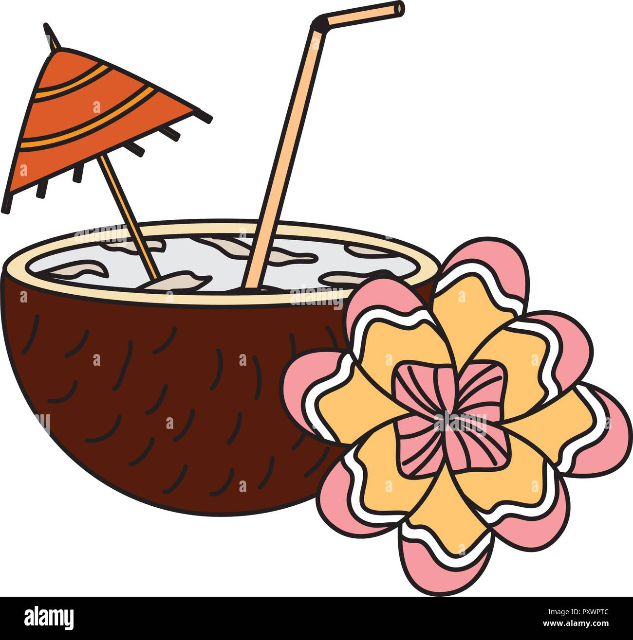 coconut cocktail flower tropical summer vector illustration Stock ...