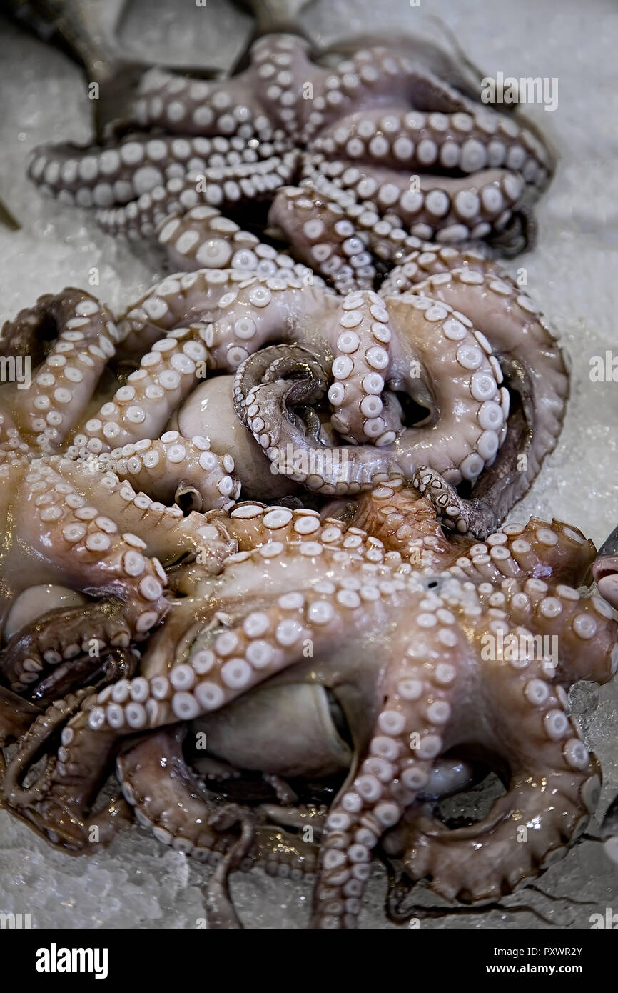 Octopus ink hi-res stock photography and images - Alamy