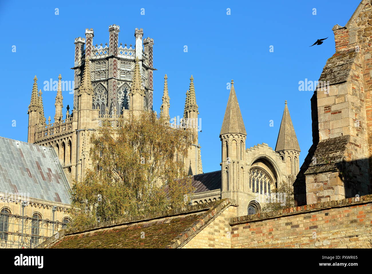 Medieval roofs hi-res stock photography and images - Alamy