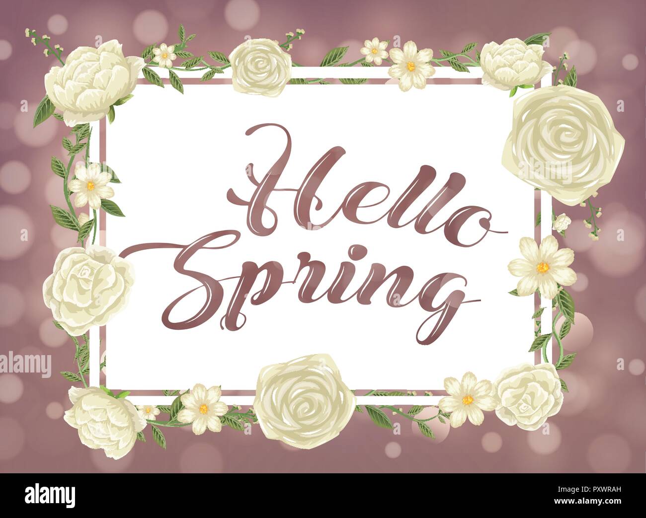 Poster design with white roses illustration Stock Vector Image & Art ...