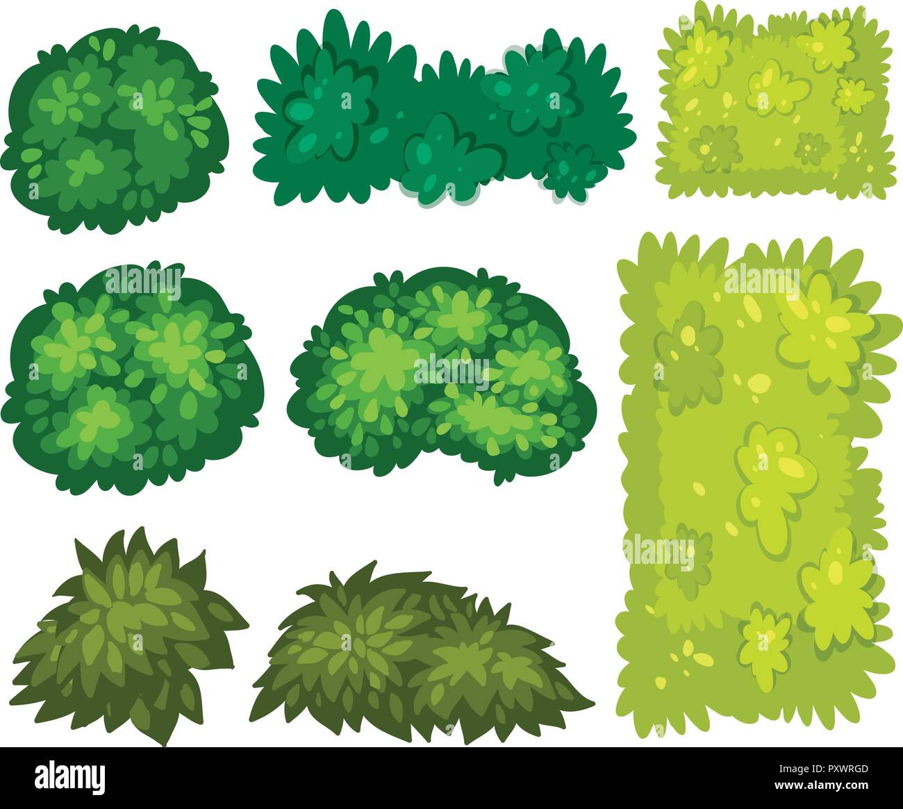 Different patterns of green bush illustration Stock Vector Image & Art ...