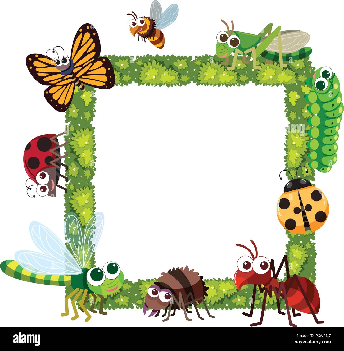 Grass frame with many insects illustration Stock Vector Image & Art - Alamy
