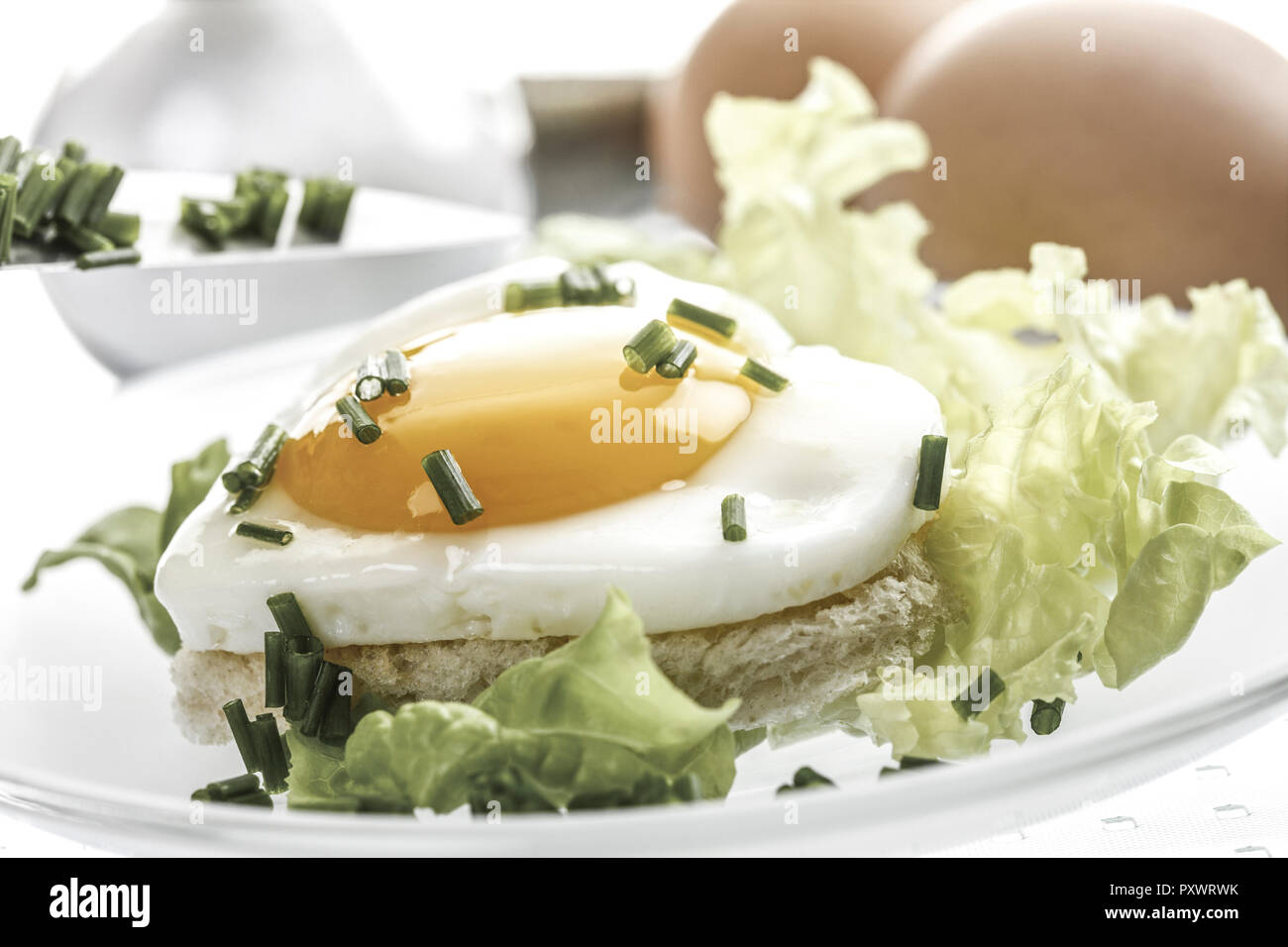 Spiegelei auf Toast und Salatblaettern Stock Photo - Alamy