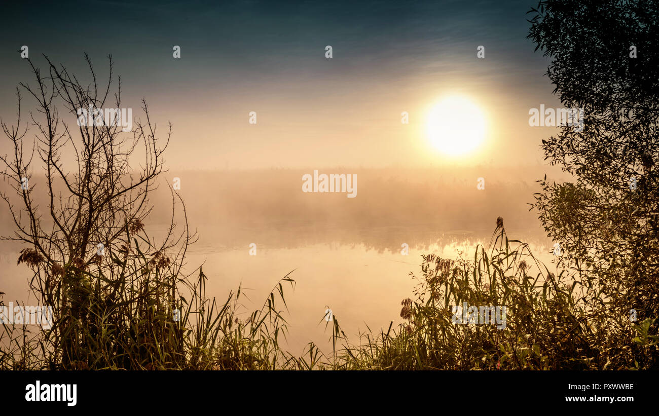 Dramatic mystical twilight landscape with rising sun, tree, reed and ...