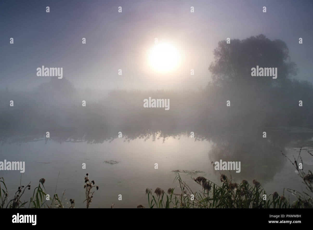 Mystical twilight hi-res stock photography and images - Alamy