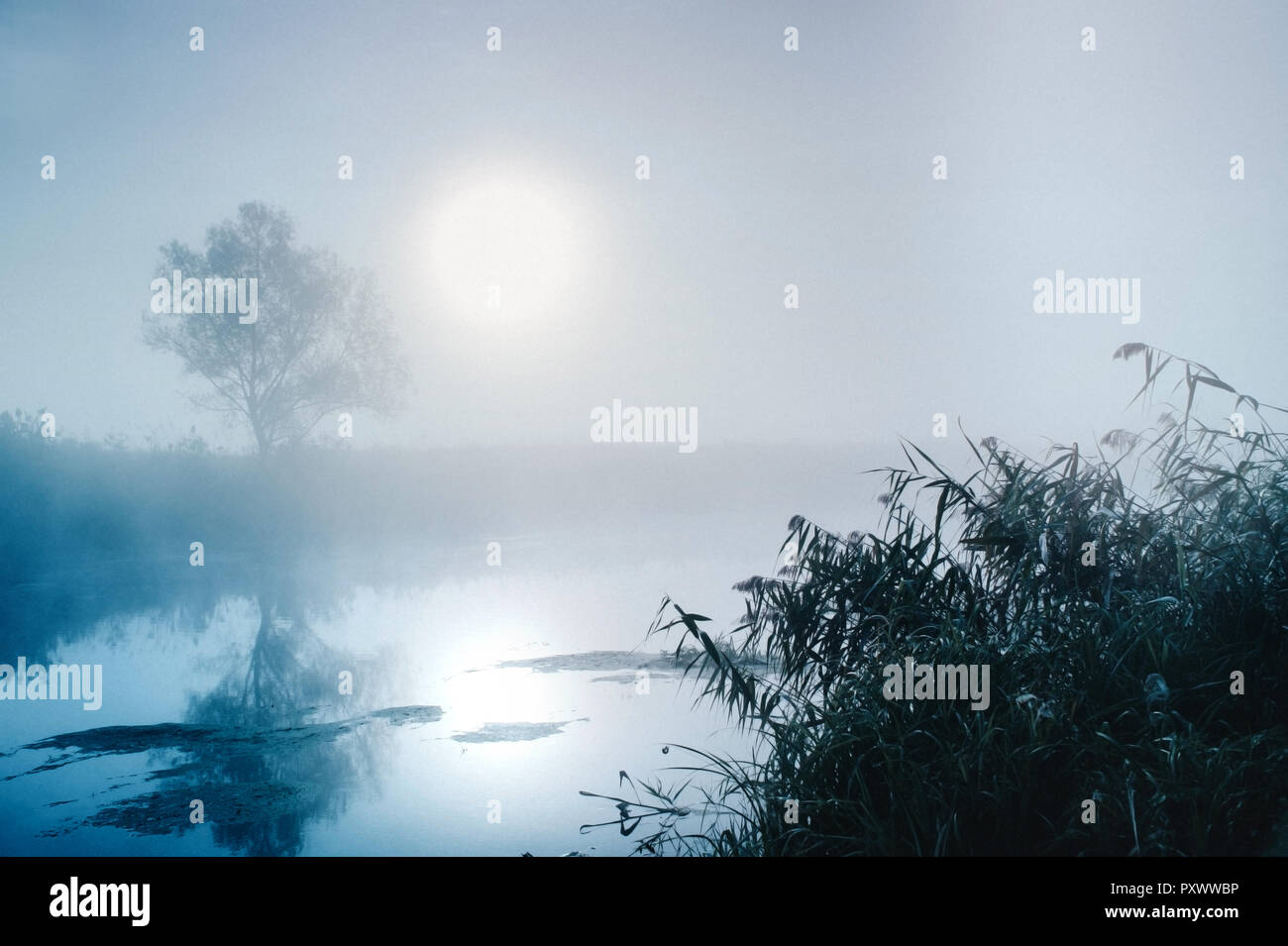 Fog over water hi-res stock photography and images - Alamy
