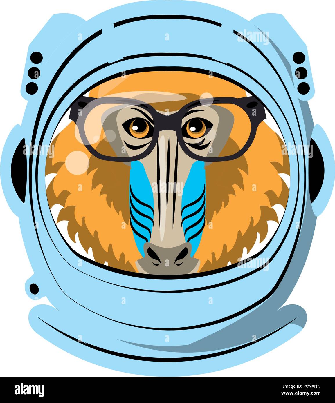 Mandrill drawing Stock Vector Images - Alamy