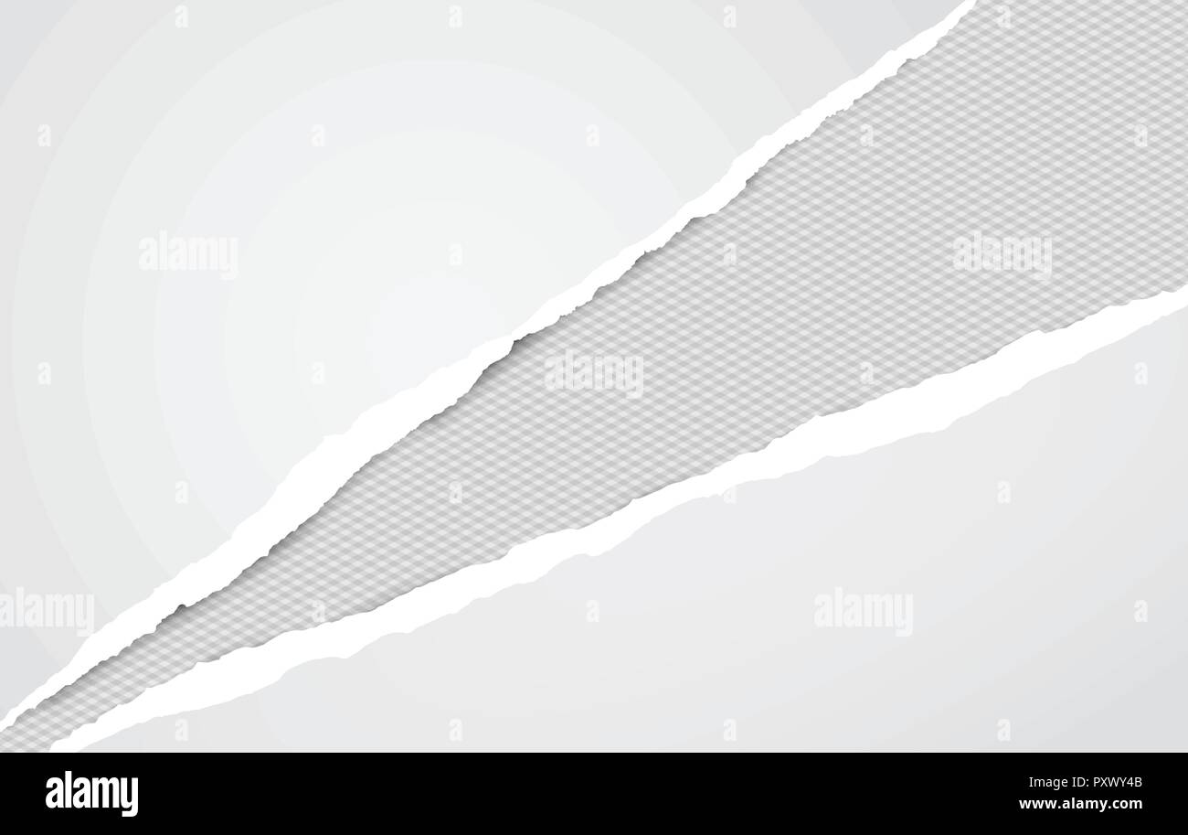 Set of white diagonal ripped paper strips, torn note paper for text or ...