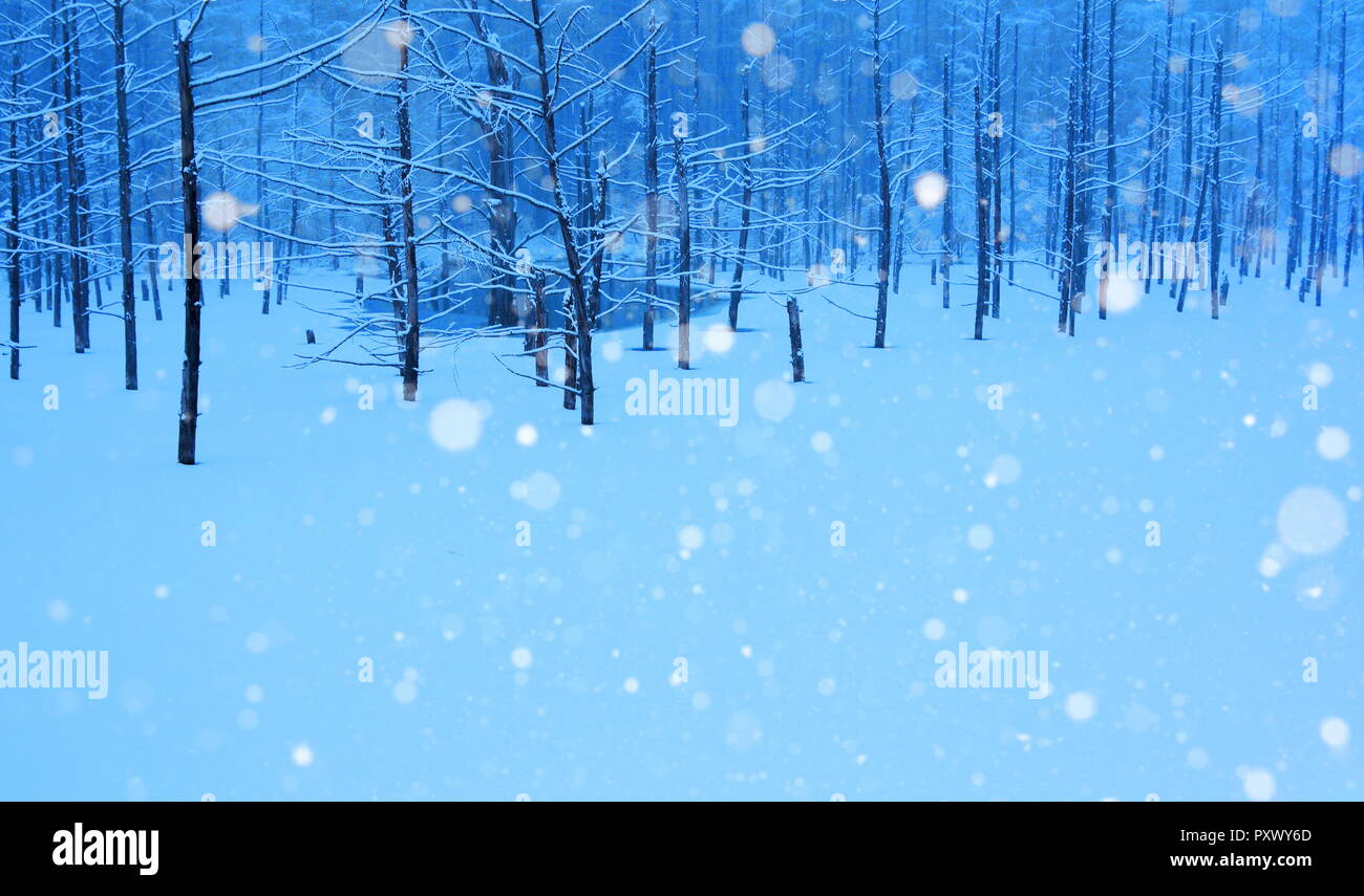 Hokkaido and blue pond and winter hi-res stock photography and images ...