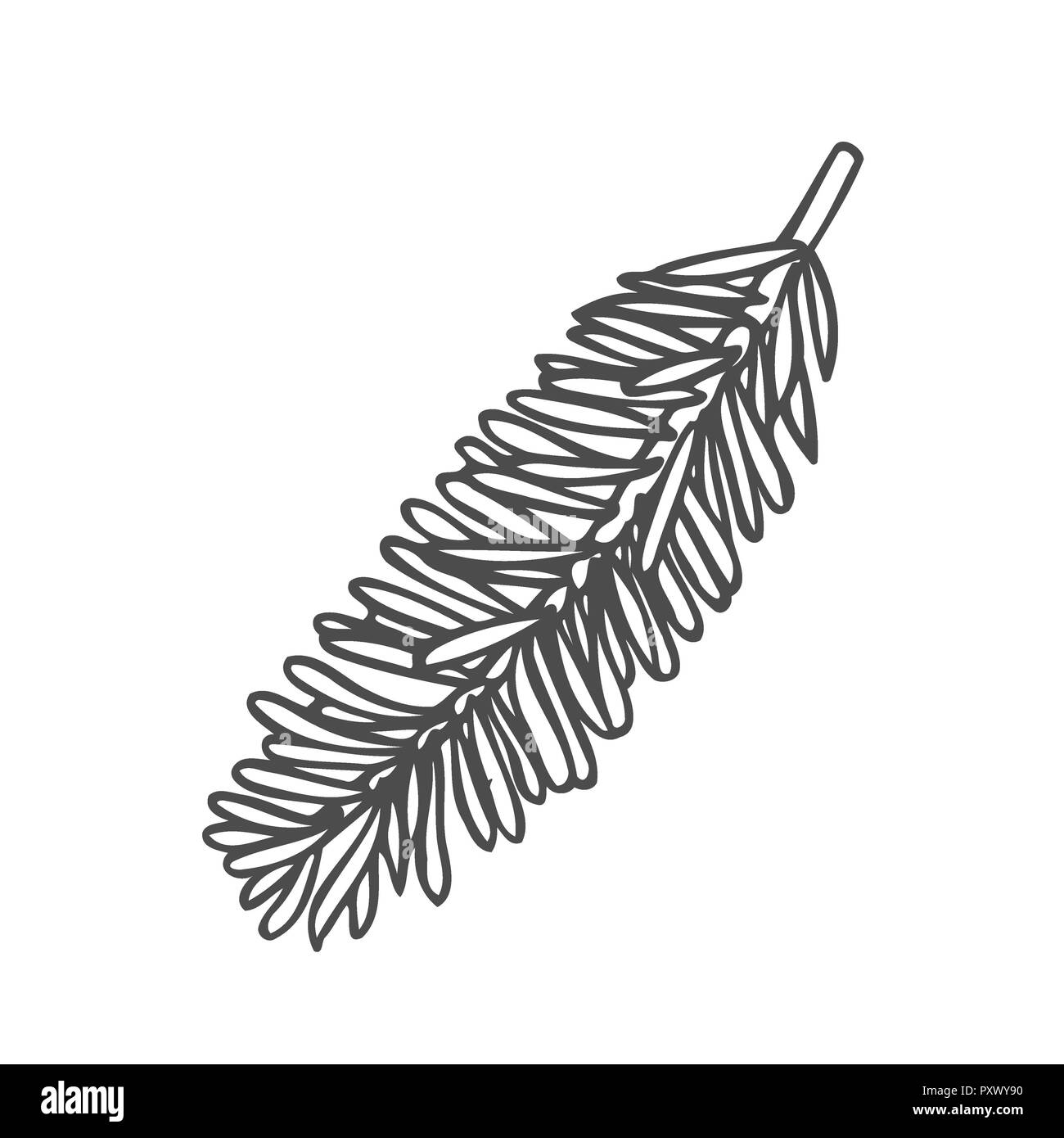 Christmas tree drawing in green Black and White Stock Photos & Images ...