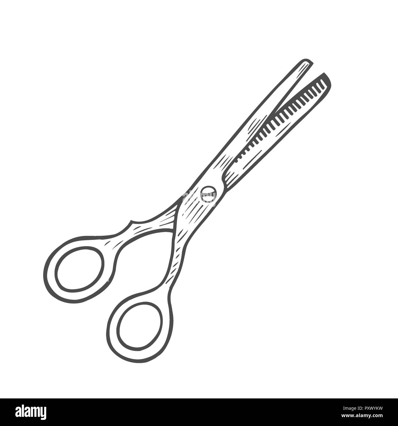 Hand drawn Cutting scissor. Doodle style. illustration Stock Photo - Alamy