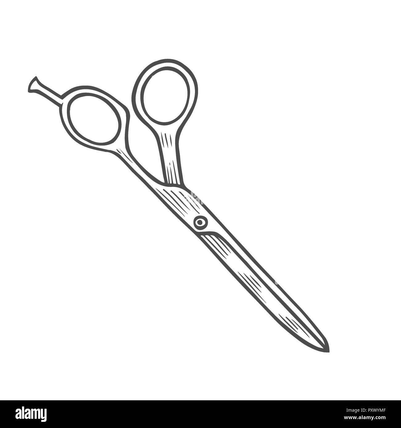 Hand drawn Cutting scissor. Doodle style. illustration Stock Photo - Alamy