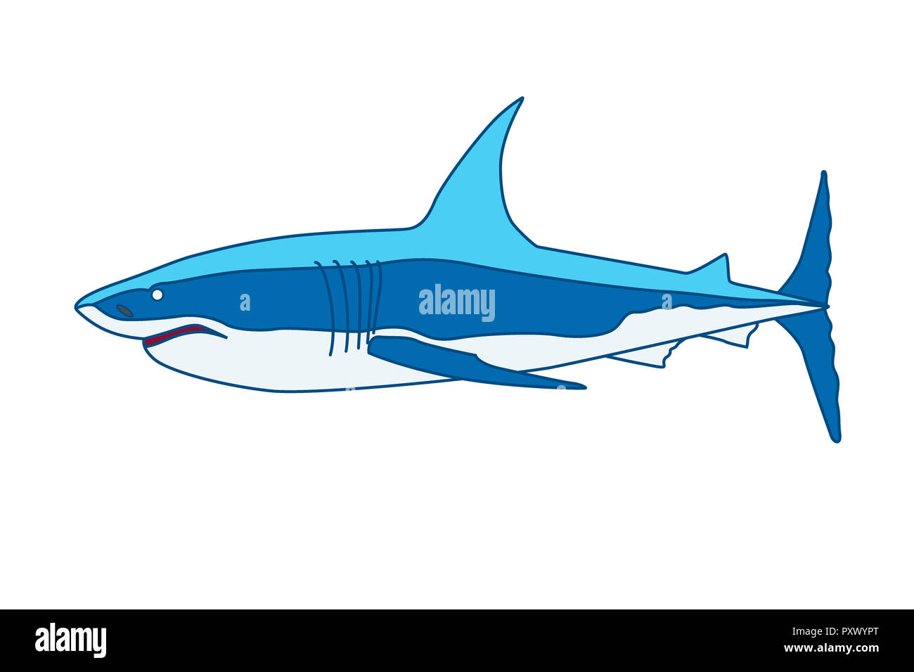Shark cartoon illustration Isolated on white background Stock Photo - Alamy