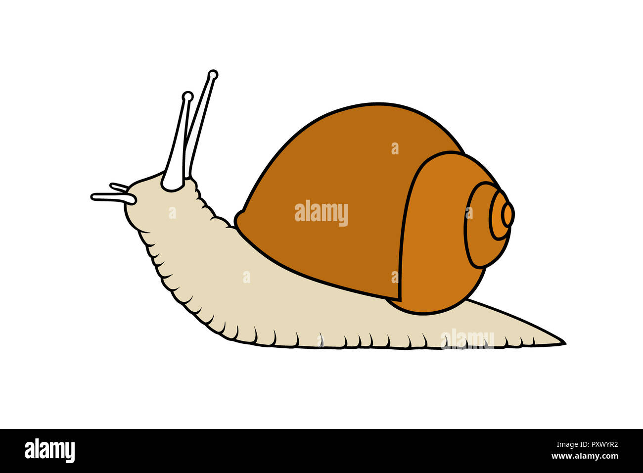 Sketch shell concept isolated on white Stock Photo - Alamy