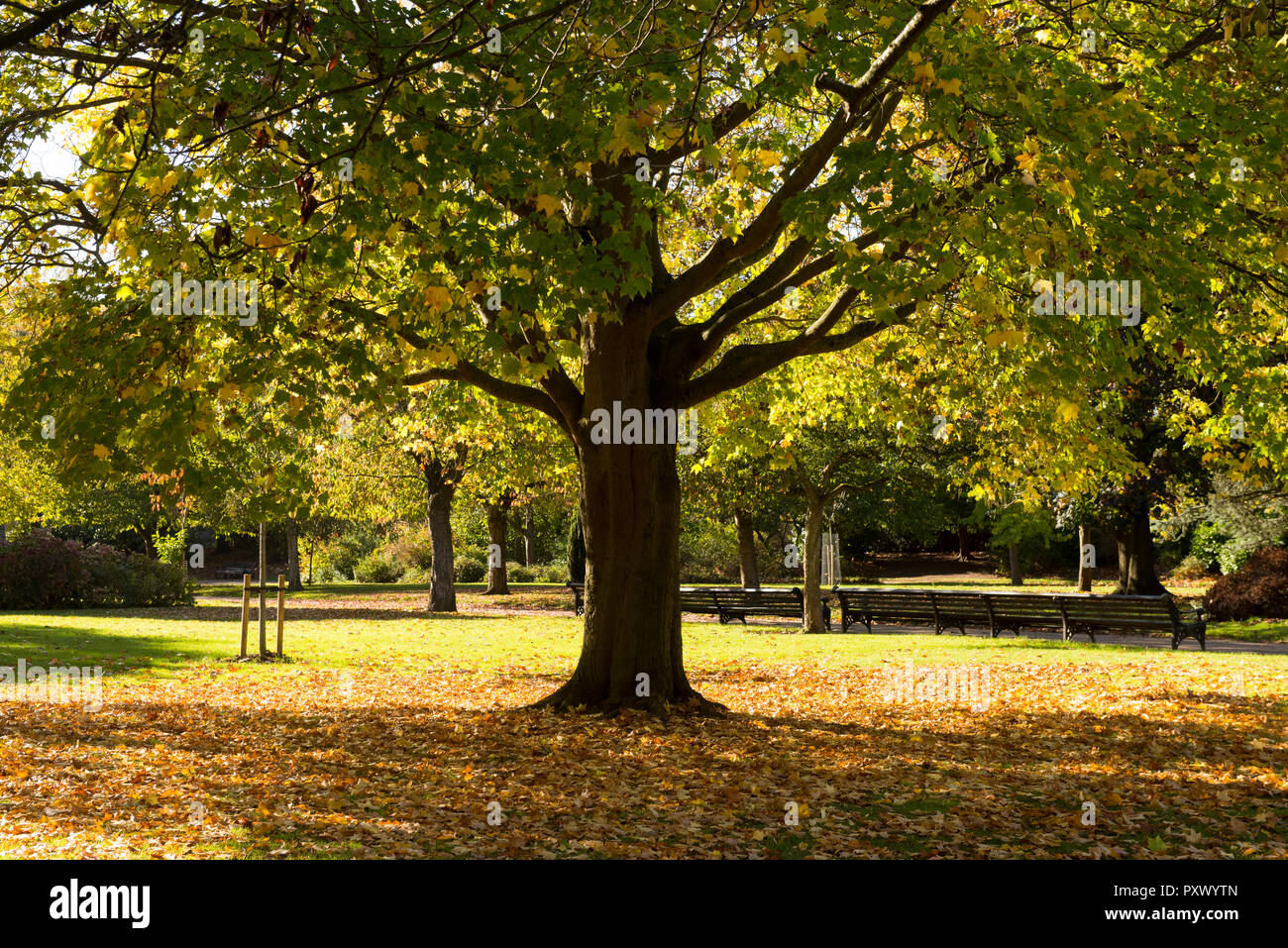 Bright sunny day at Victoria Embankment Memorial Park in Nottingham ...