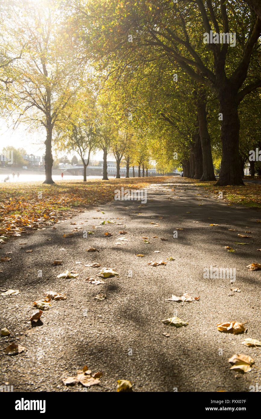 Bright sunny day at Victoria Embankment in Nottingham, Nottinghamshire ...