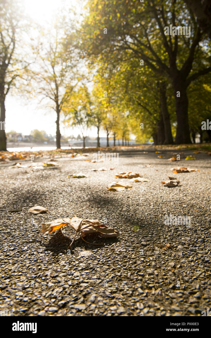 Bright sunny day at Victoria Embankment in Nottingham, Nottinghamshire ...