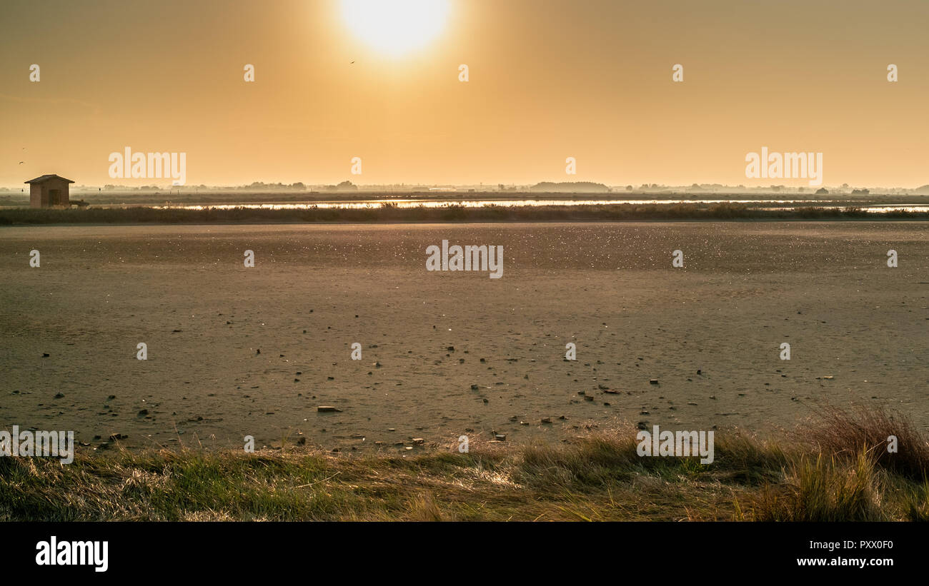 Saltwork basins in a golden sunset. Cervia, Ravenna, Italy Stock Photo ...
