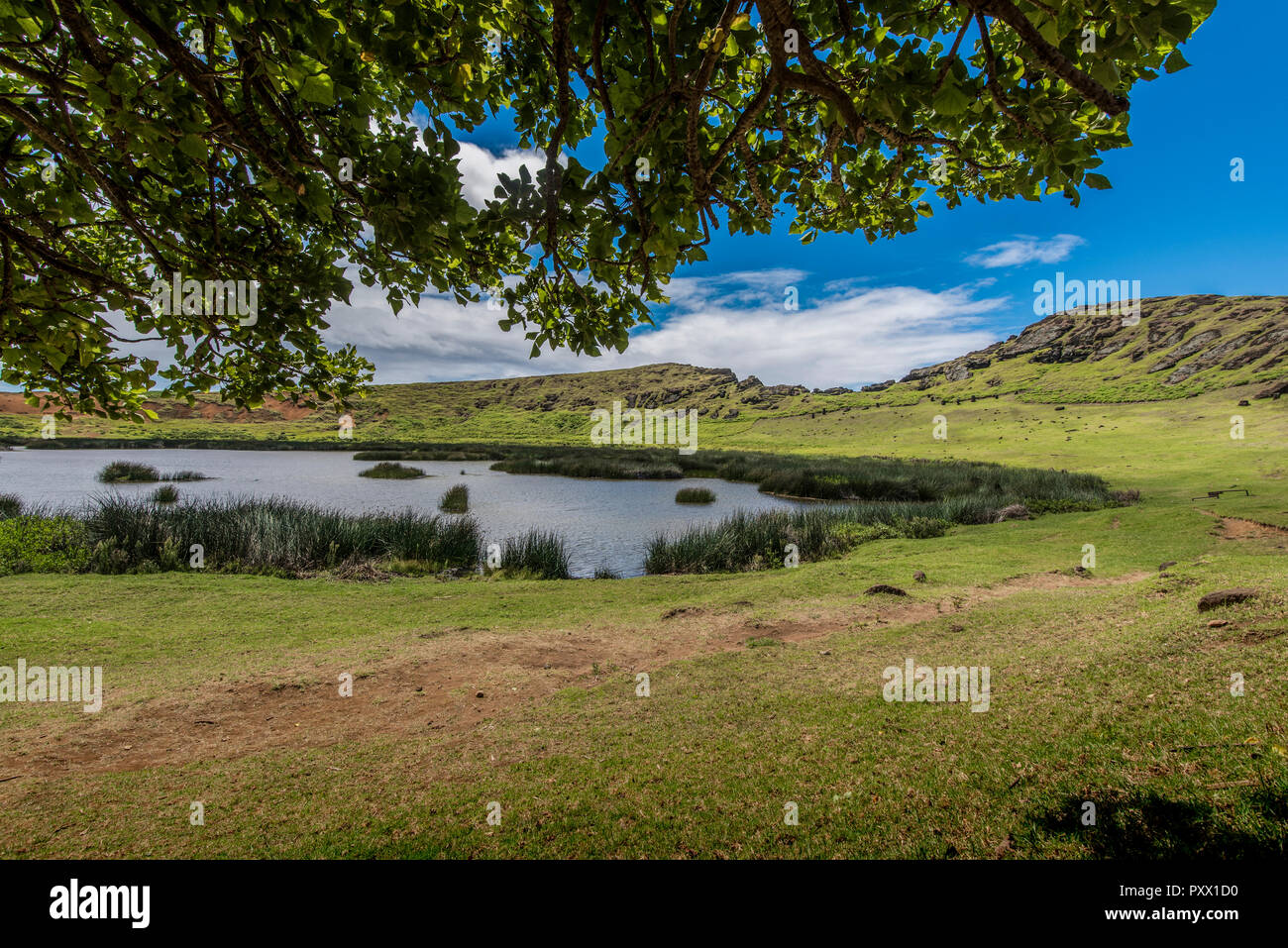 Interior of the crater of the Rano Raraku volcano with underground ...