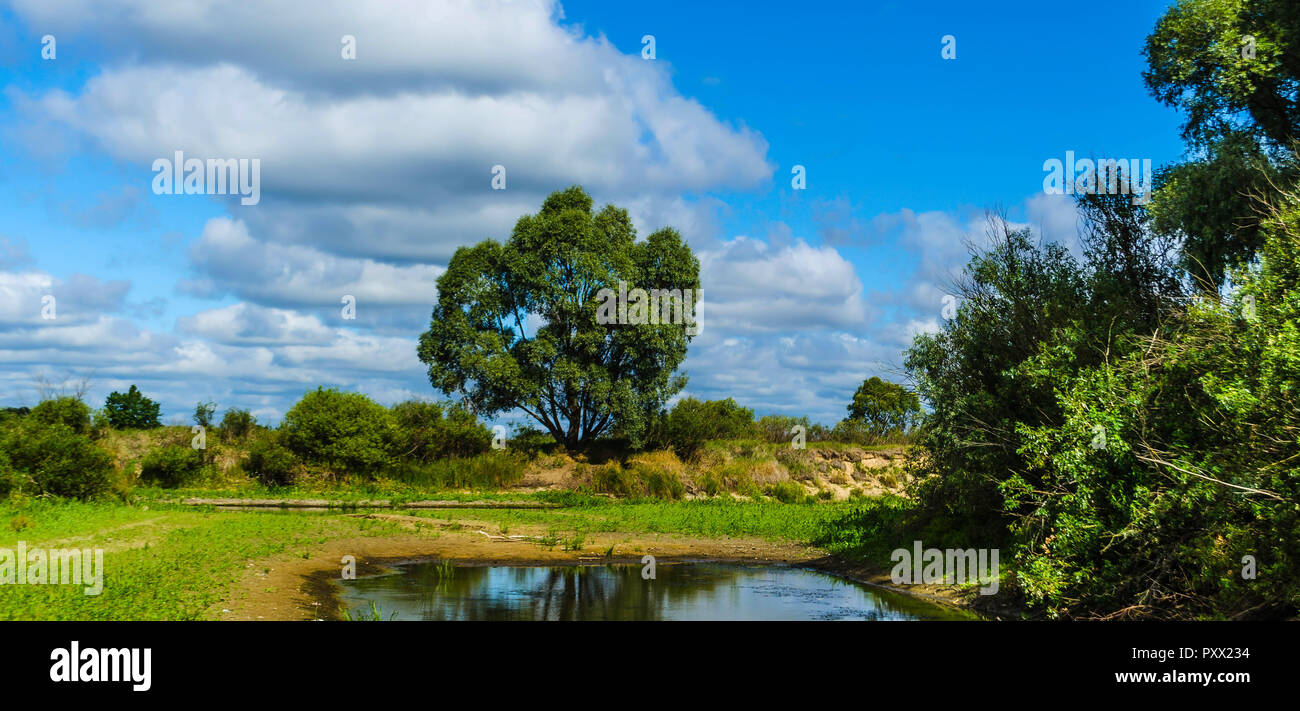 Severn strand hi-res stock photography and images - Alamy