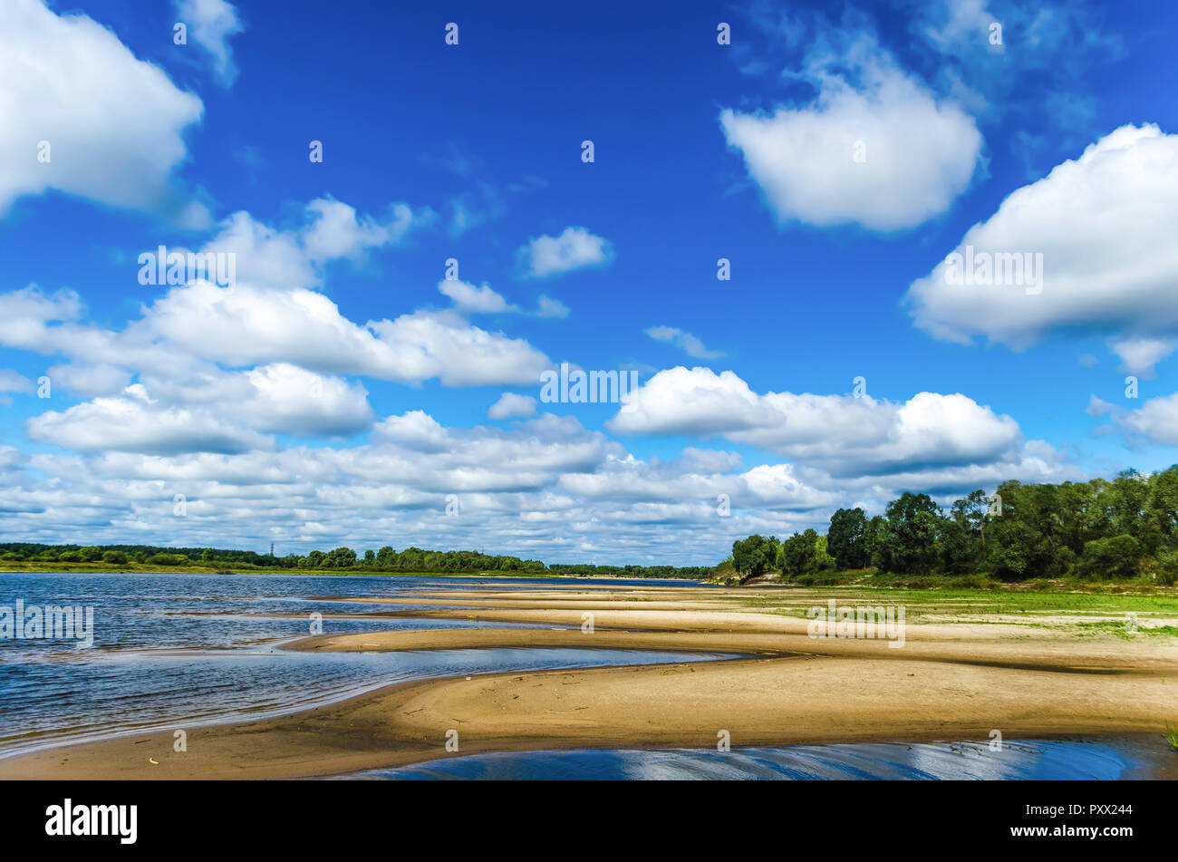 The shrouded river. Ecological catastrophy. Drought. Belarusian Polesie ...