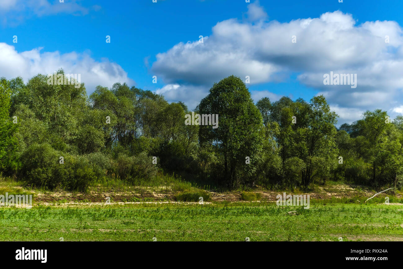 Ecological catastrophy. Drought. Parched river Disappearance of water ...