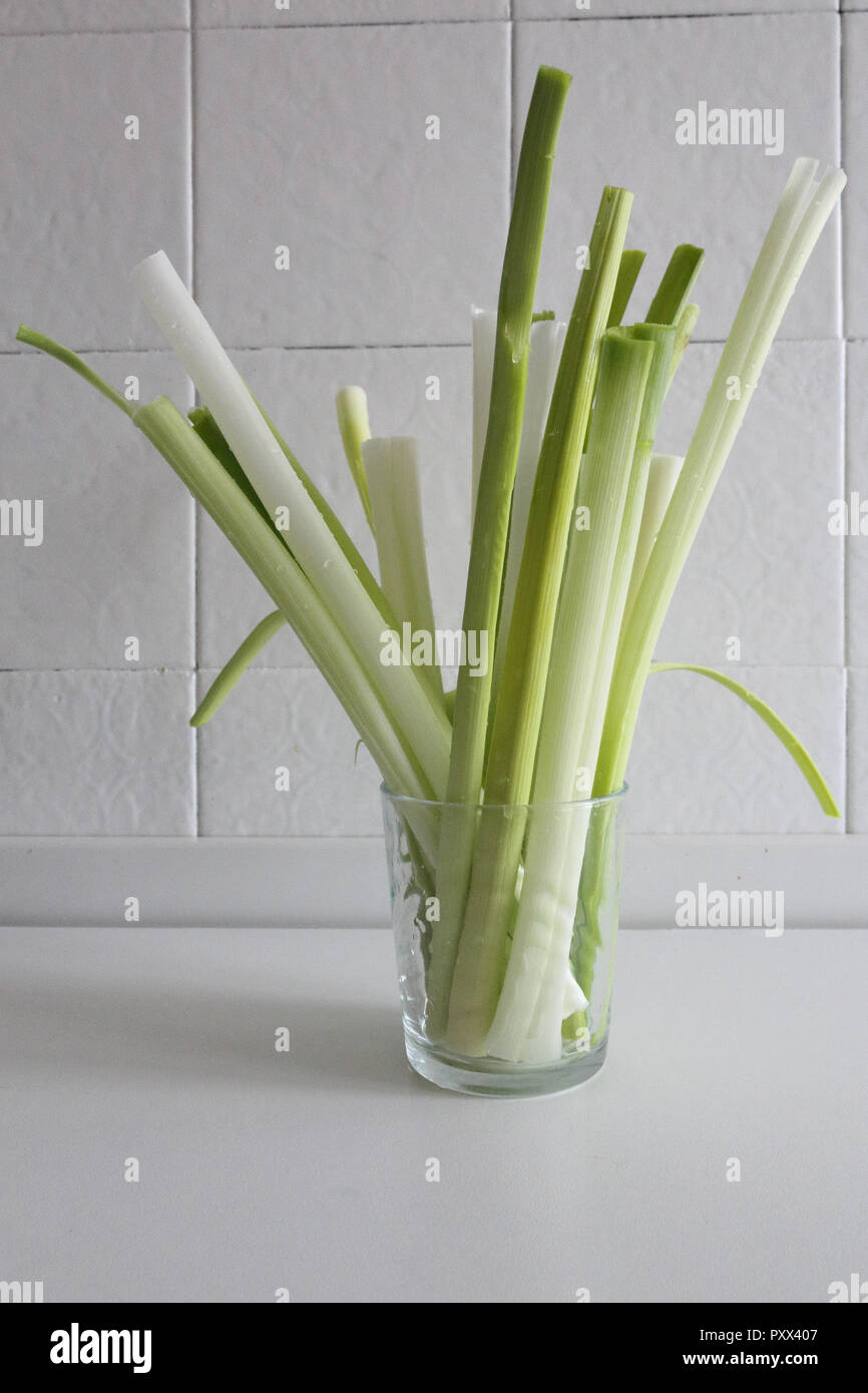 A bunch of clean, fresh and wet leek vegetables, already detached and ...