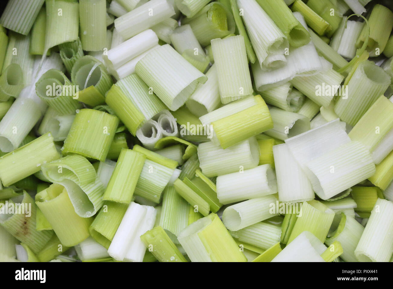 A bunch of clean, fresh and wet leek vegetables, already detached, cut ...