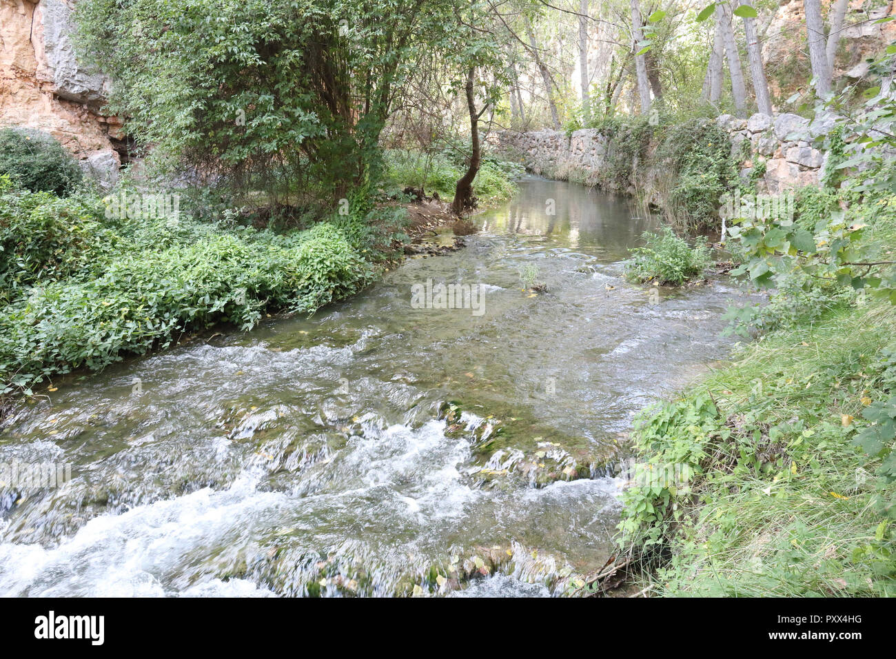 The Mesa river next to some rocks and a path in the Los Prados forest ...