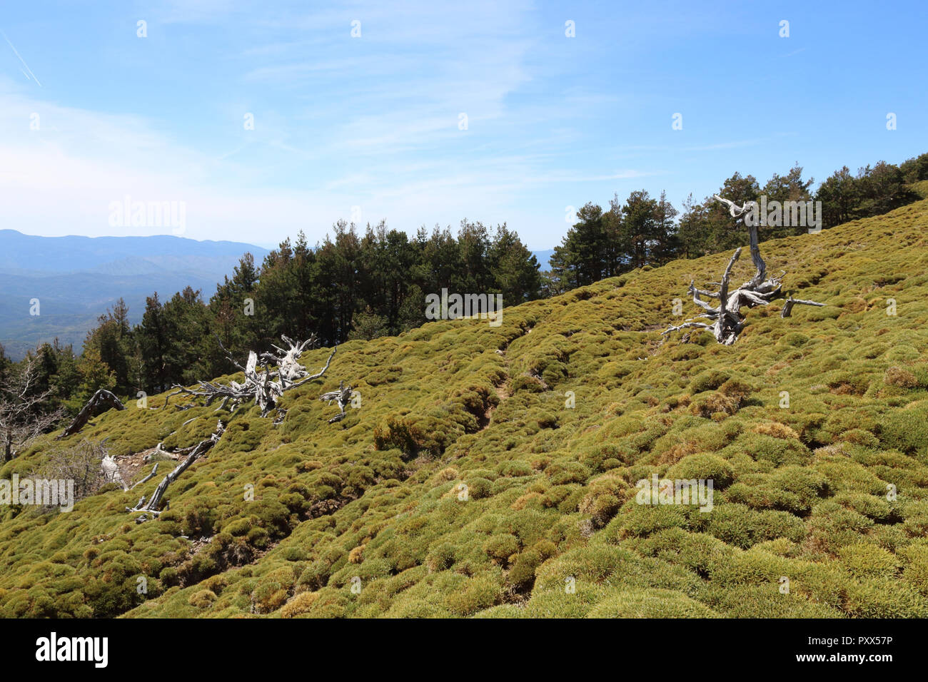 A landscape of a path on the edge of Peña Oroel mount, with the ...