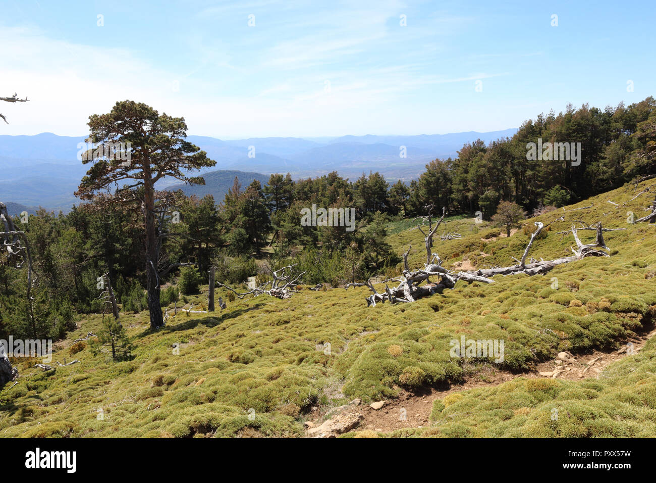 A landscape of a path on the edge of Peña Oroel mount, with the ...