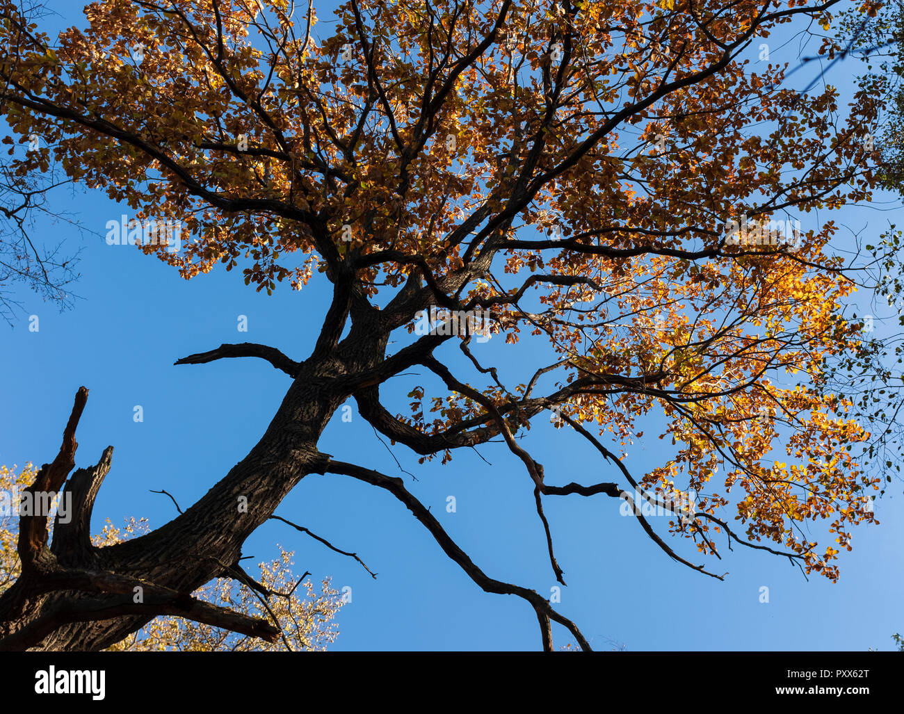 Blue yellow ochre hi-res stock photography and images - Alamy