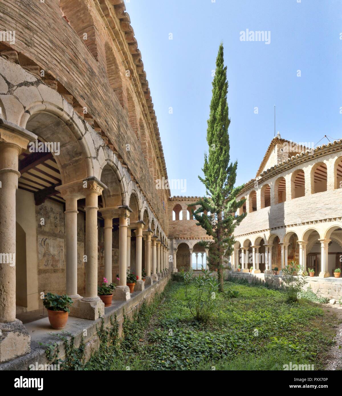 The cloister with romanesque arches, a fir tree and medieval frescos ...