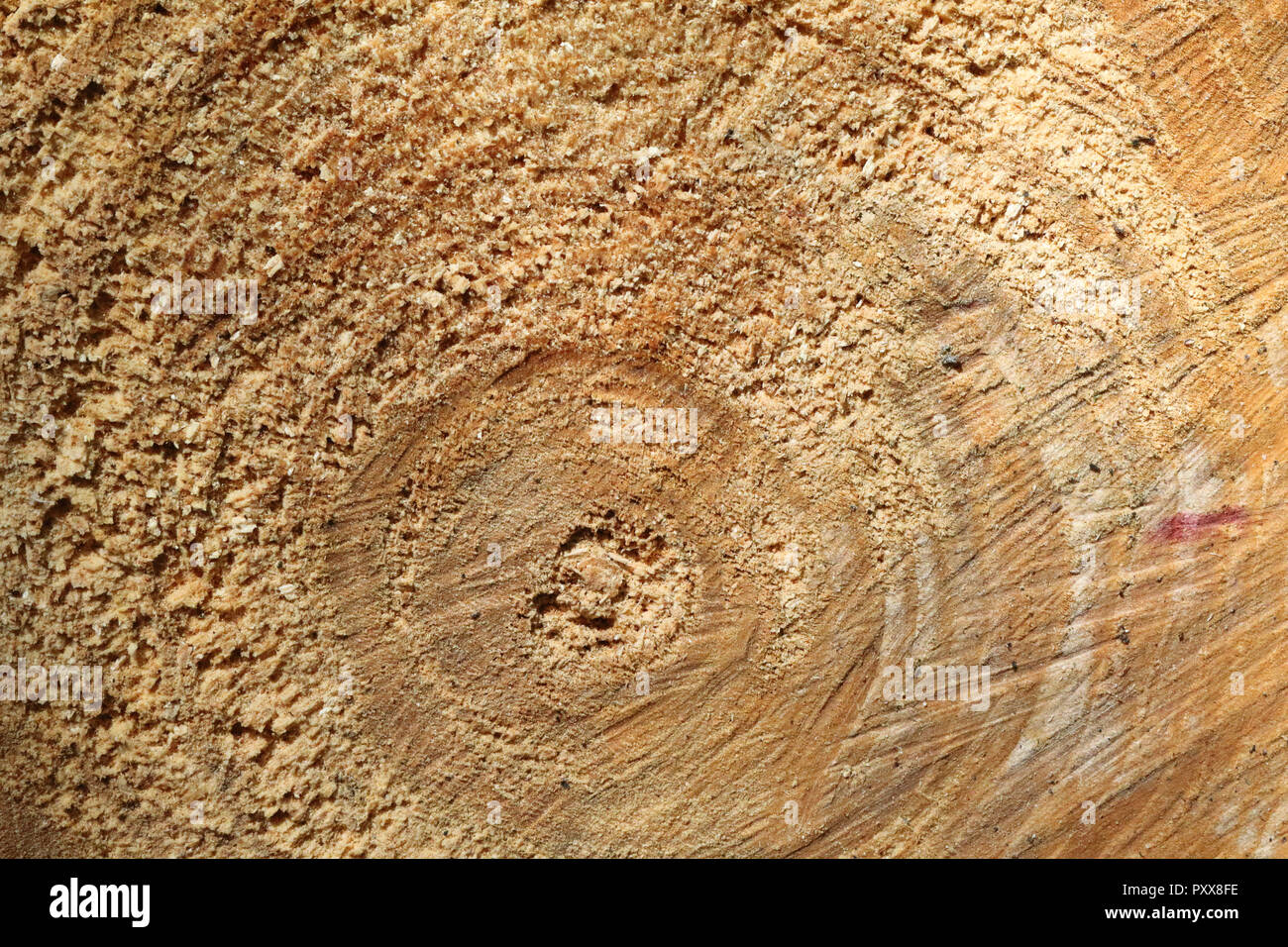 A close view of the incisions and engravings of a chainsaw machine on a ...