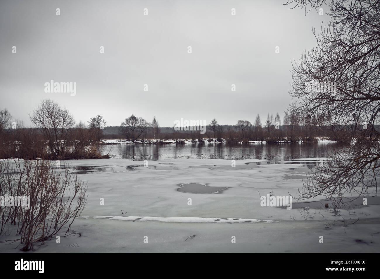 Bank forest hi-res stock photography and images - Alamy