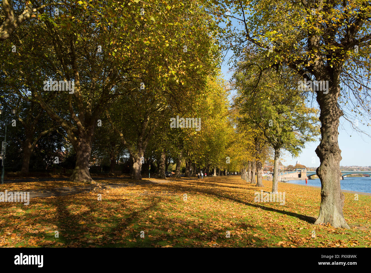 Bright sunny day at Victoria Embankment in Nottingham, Nottinghamshire ...