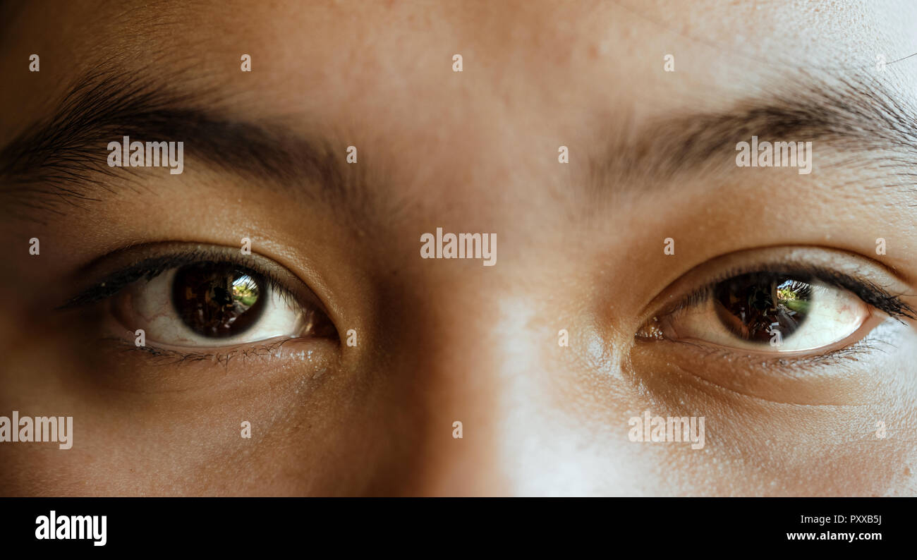 close up macro of eyes Stock Photo - Alamy