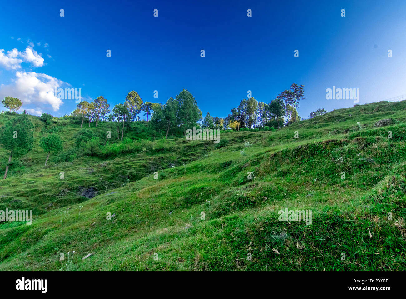 Stepping Fields in Uttrakhand - Himalaya Stock Photo - Alamy