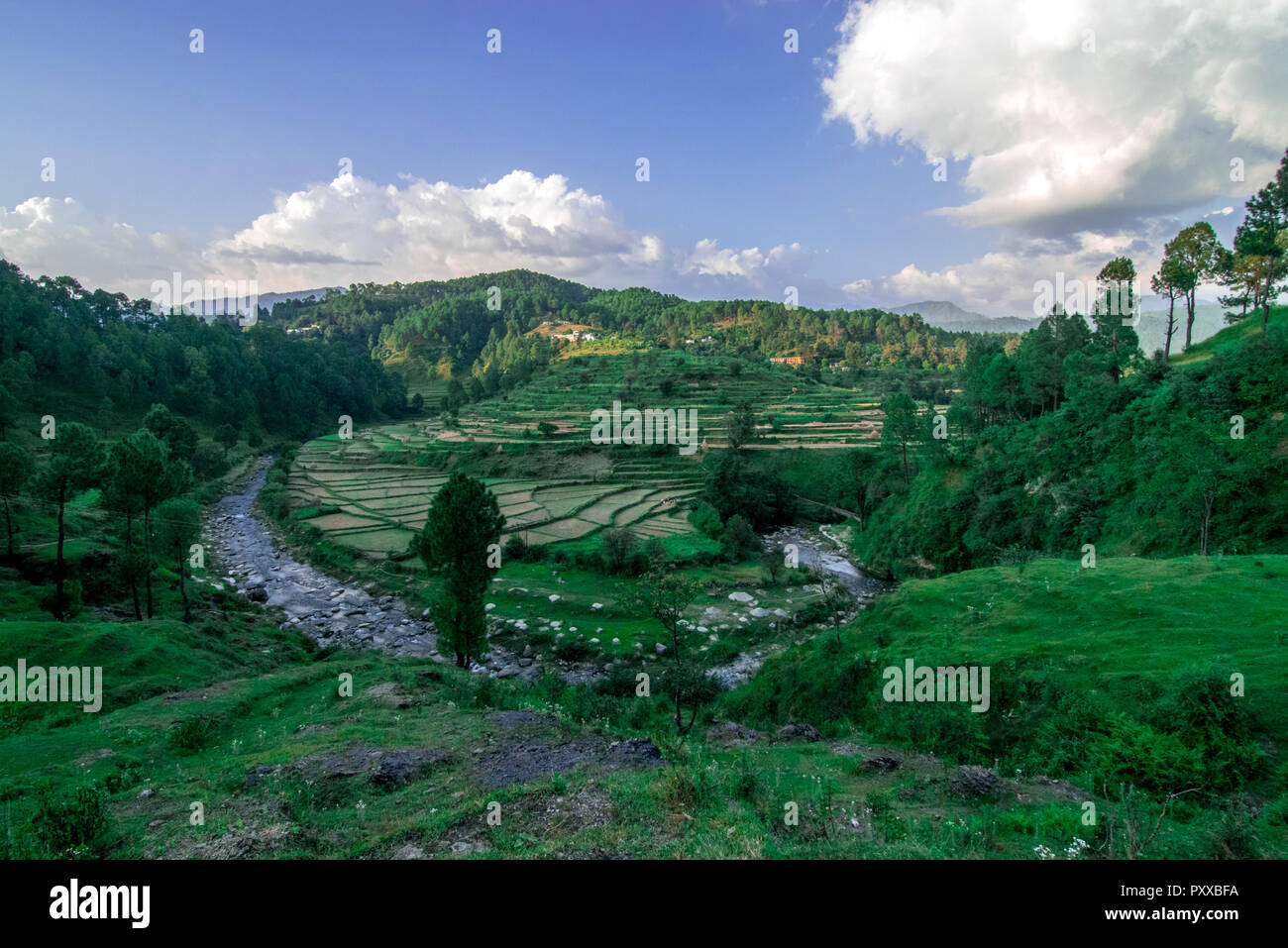 Stepping Fields in Uttrakhand - Himalaya Stock Photo - Alamy