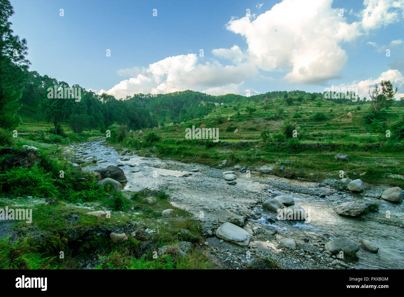 River in Uttrakhand - Himalaya Stock Photo - Alamy