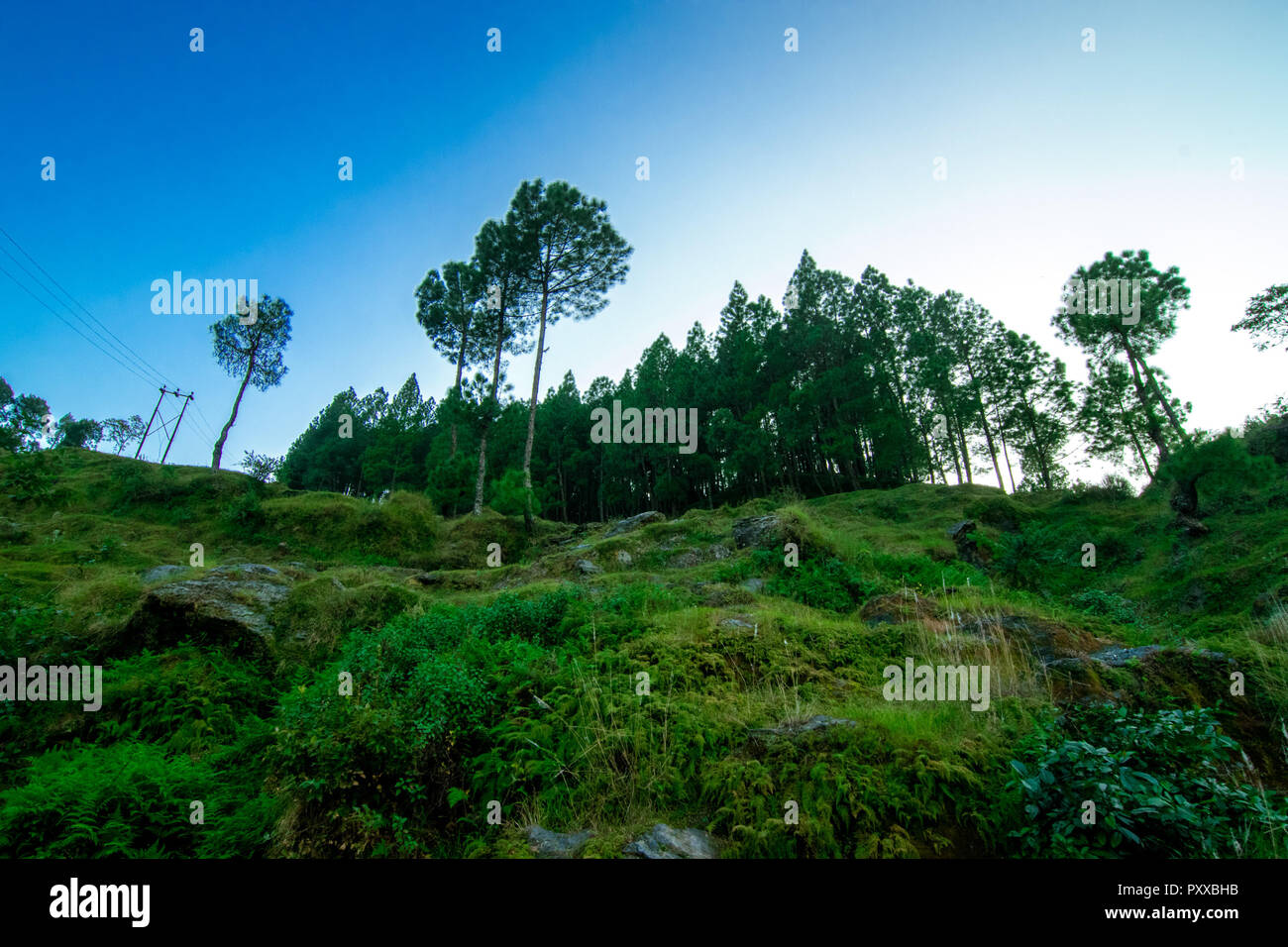Garhwal agriculture hi-res stock photography and images - Alamy