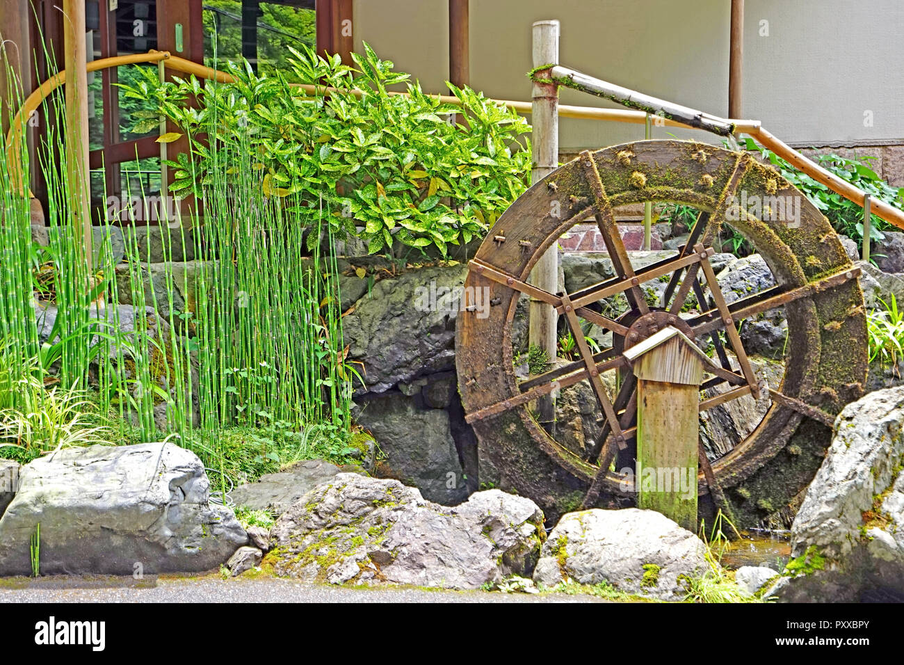 The traditional Japan zen garden with plant and decoration Stock Photo ...